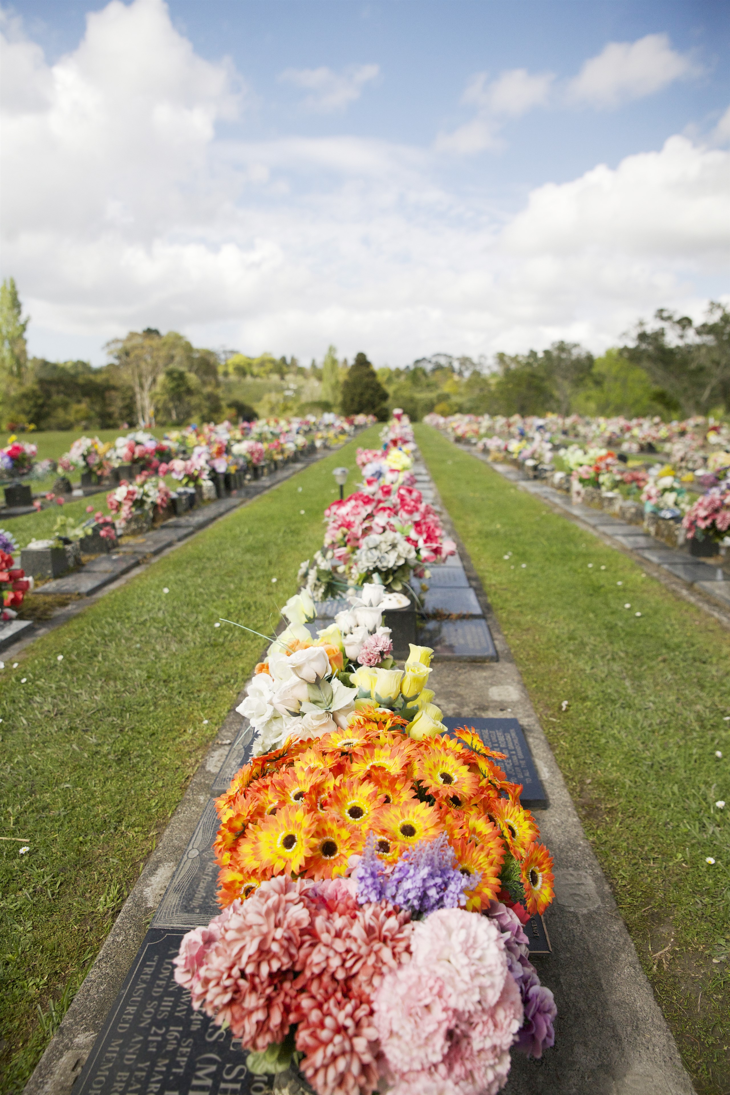 Locations Hub - Waikumete Cemetery