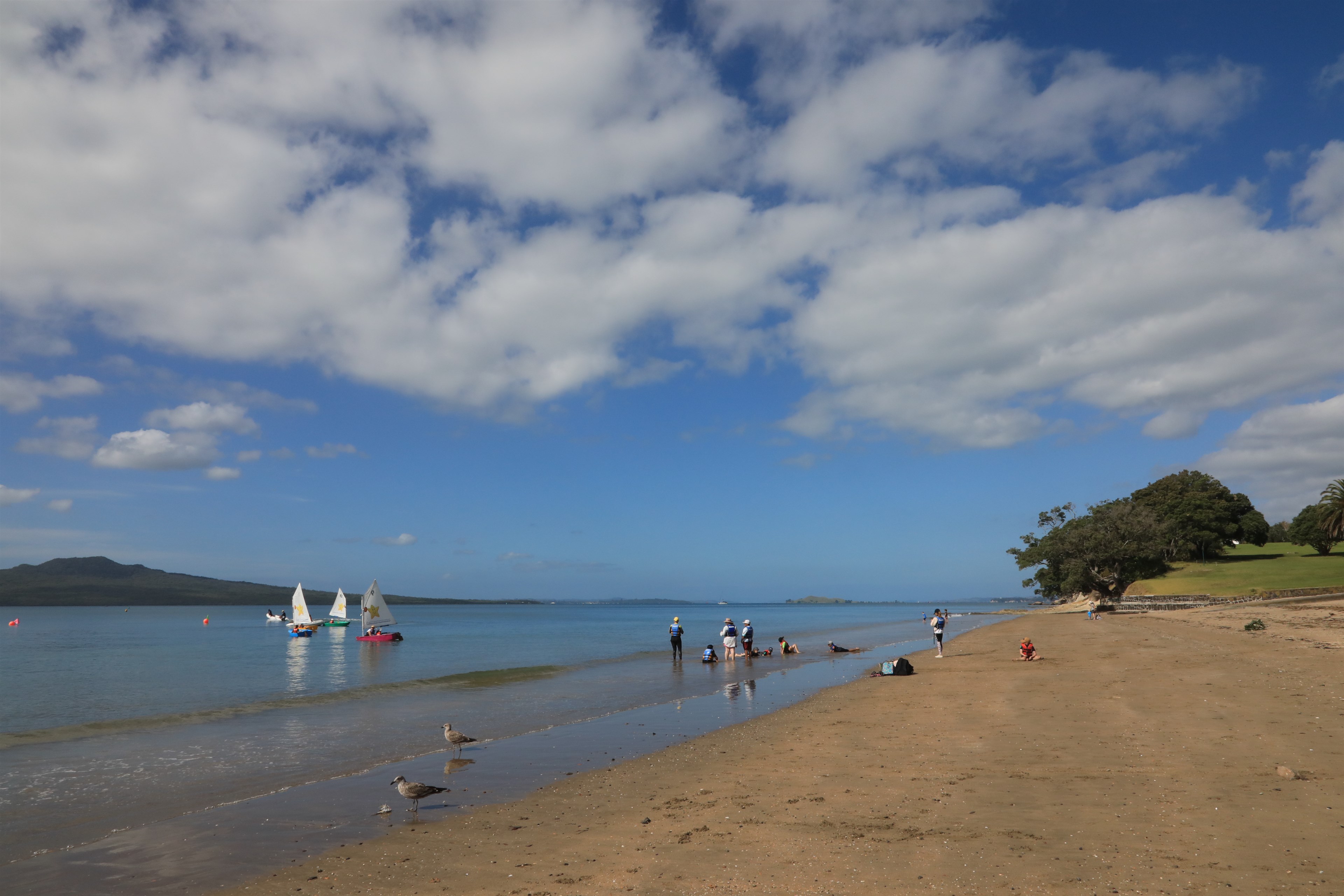 Locations Hub - Narrow Neck Beach