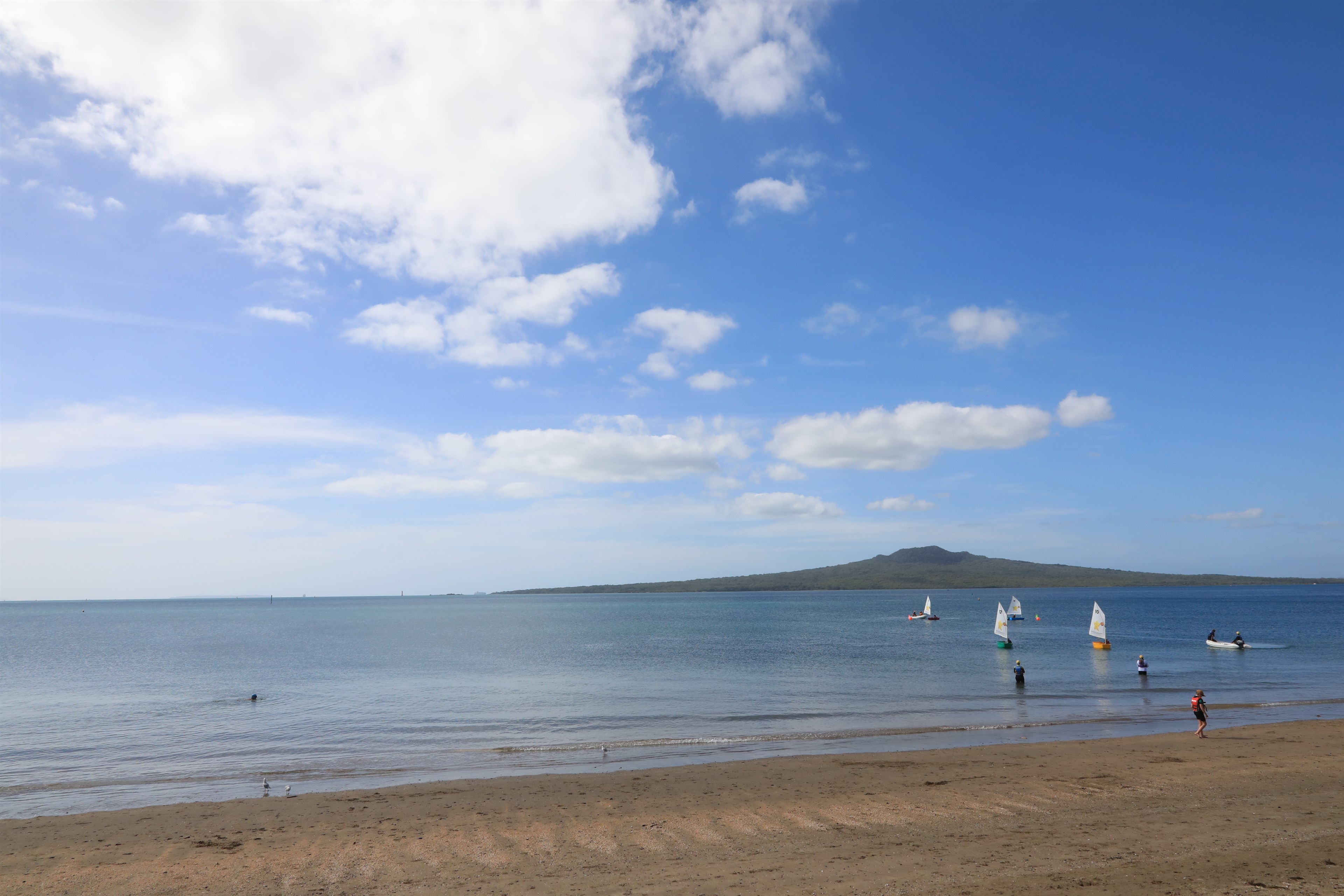 Locations Hub - Narrow Neck Beach