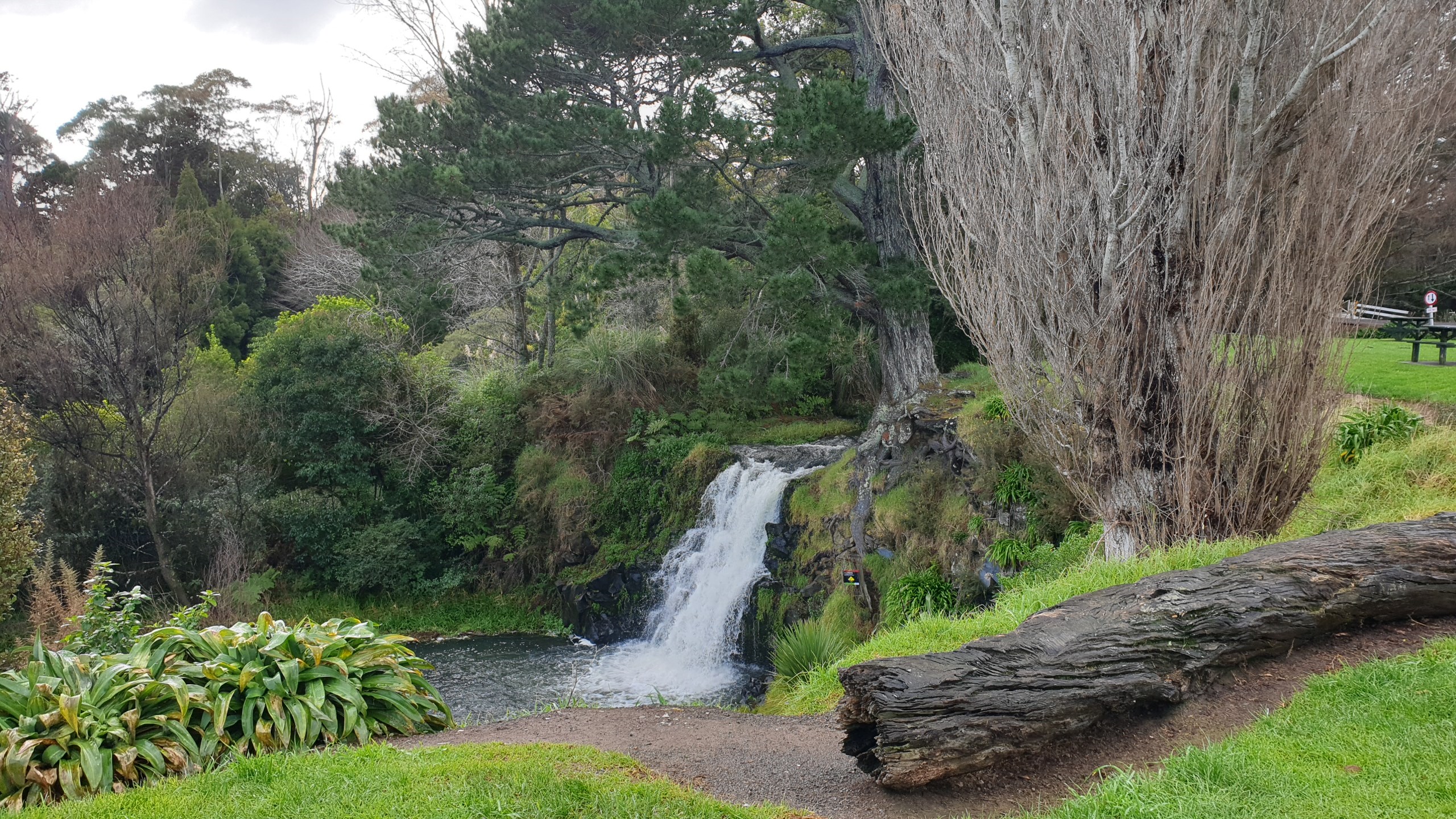 Locations Hub - Waitangi Falls Reserve