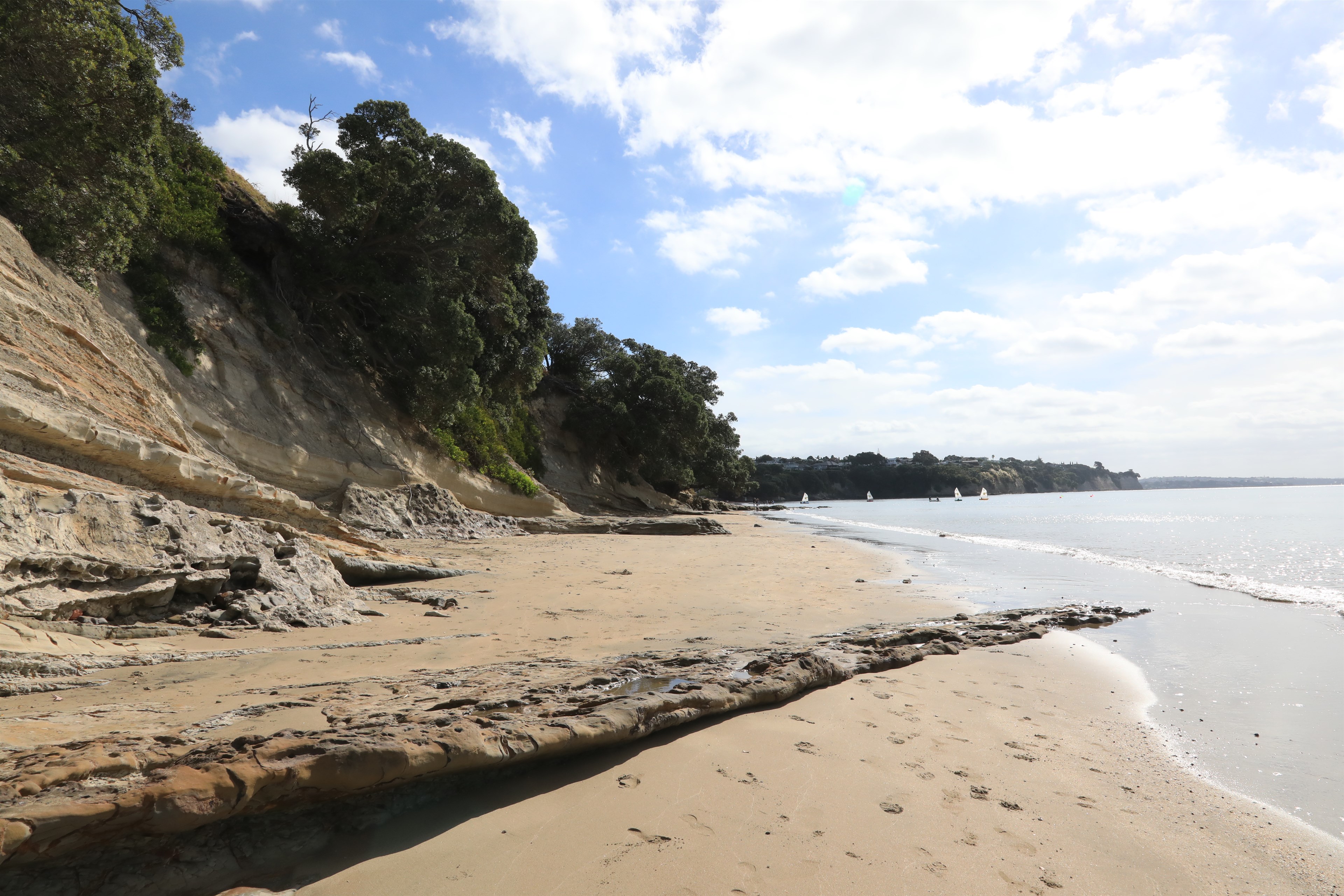 Locations Hub - Narrow Neck Beach