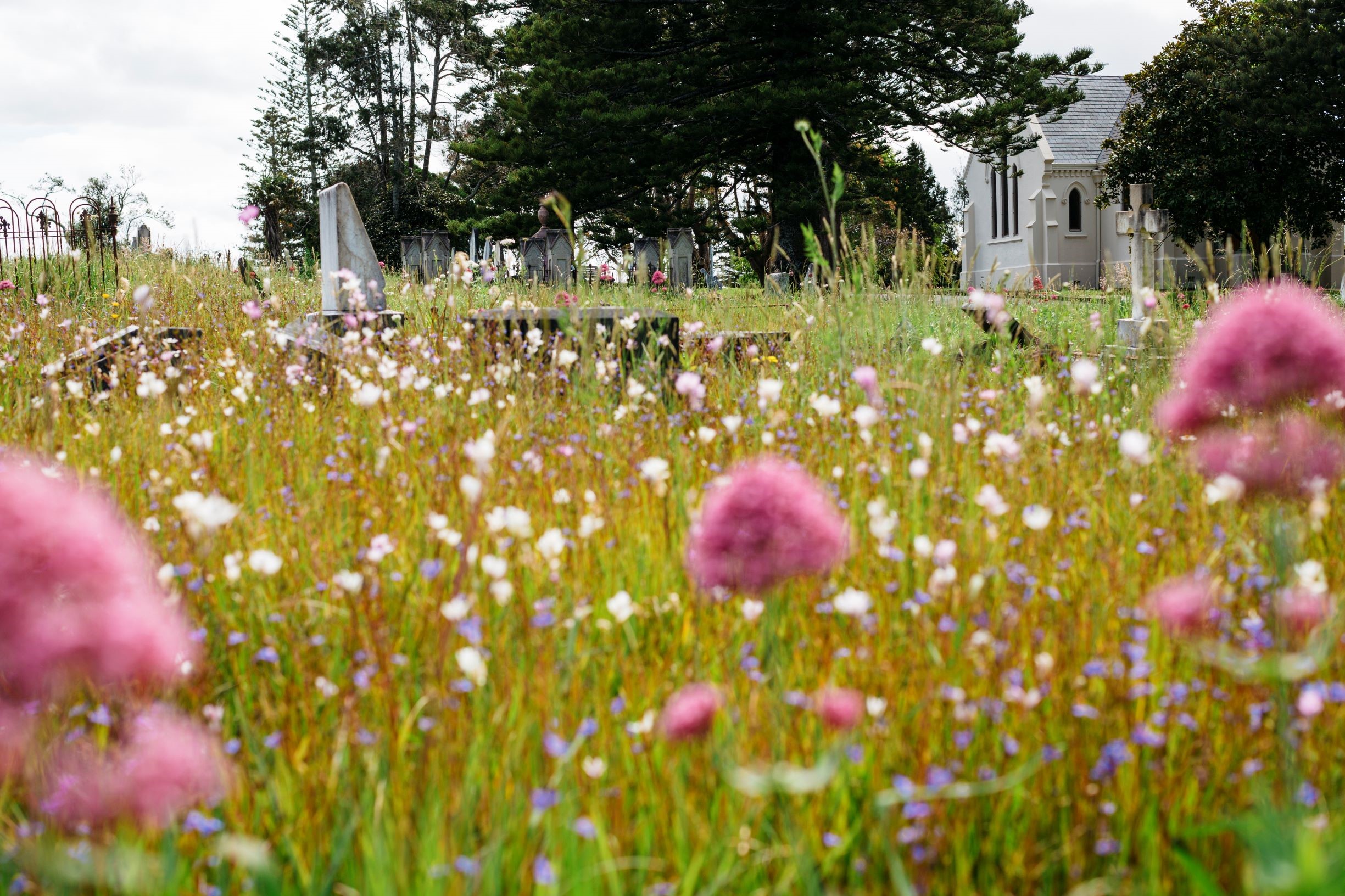 Locations Hub - Waikumete Cemetery