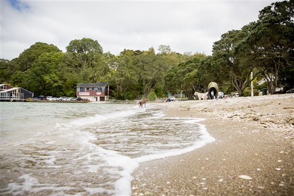 Locations Hub - French Bay